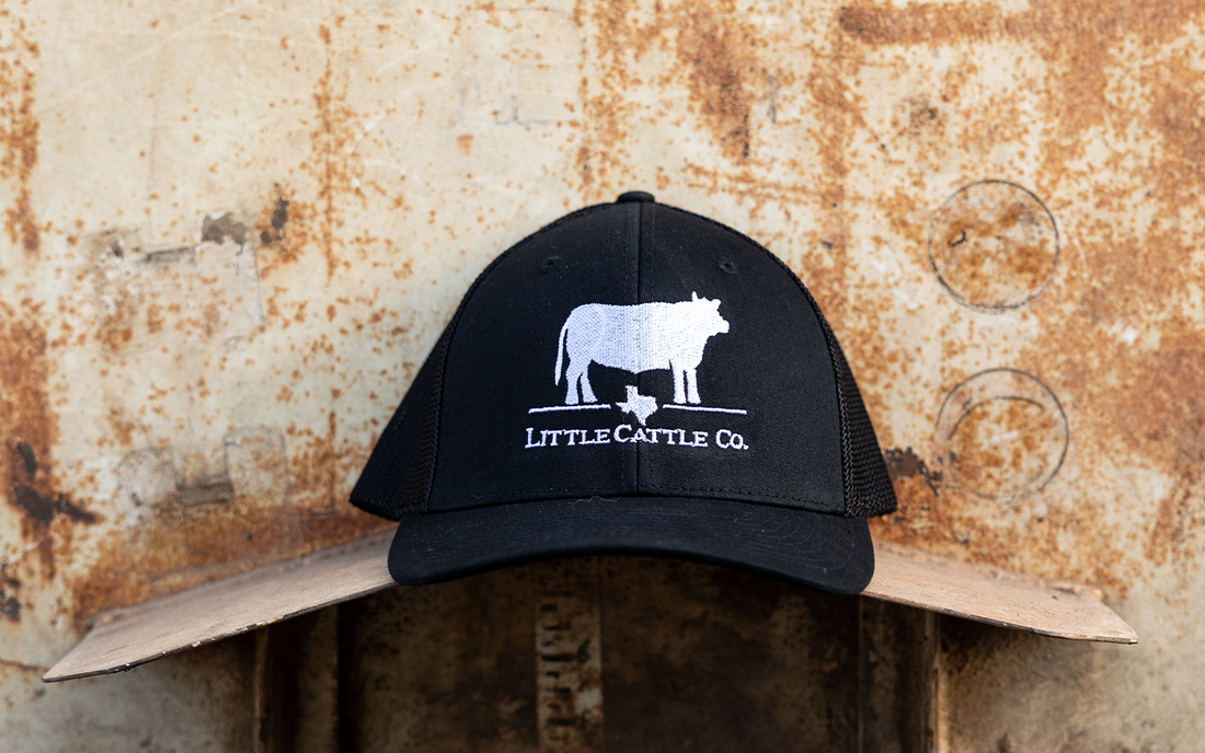 Logo Hat – Little Cattle Co.